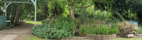 Bridge Inn Farm - Bridge Inn Community Farm